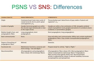 Anatomy & physiology of the Autonomic nervous system | PPTX