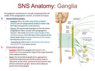Anatomy & physiology of the Autonomic nervous system | PPTX