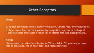 Autonomic Nervous System.pptx
