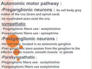 Autonomic nervous system.pptx