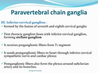 AUTONOMIC NERVOUS SYSTEM SYMPATHETIC & PARASYMPATHETIC | PPTX
