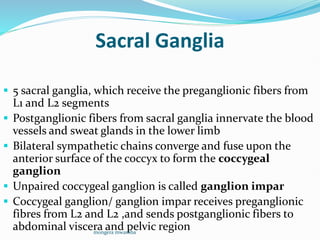 AUTONOMIC NERVOUS SYSTEM SYMPATHETIC & PARASYMPATHETIC | PPTX