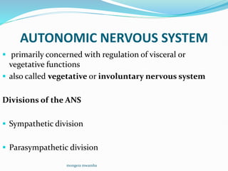 AUTONOMIC NERVOUS SYSTEM SYMPATHETIC & PARASYMPATHETIC | PPTX