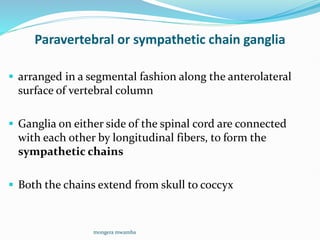 AUTONOMIC NERVOUS SYSTEM SYMPATHETIC & PARASYMPATHETIC | PPTX