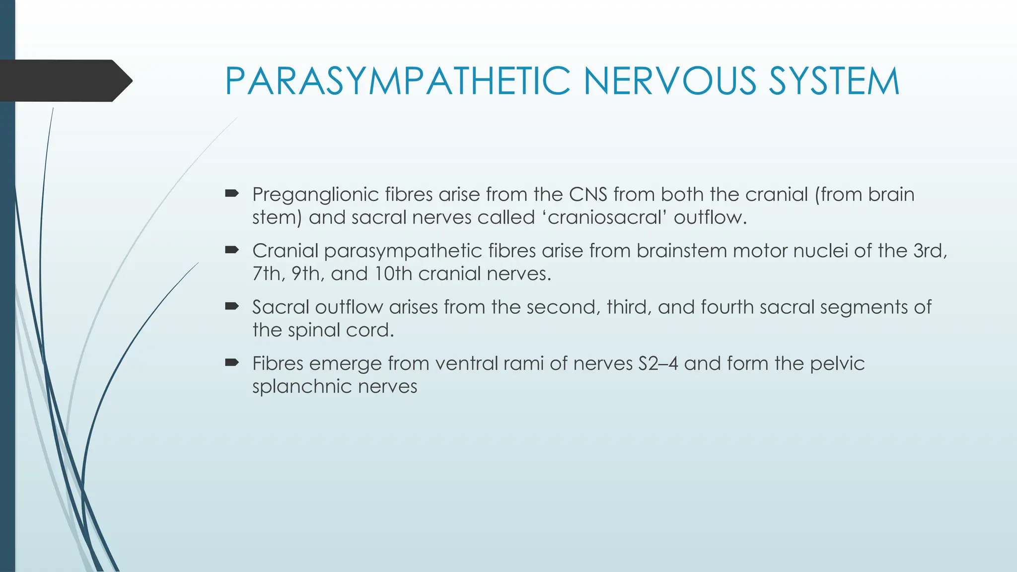 AUTONOMIC NERVOUS SYSTEM - ANATOMY.pptx