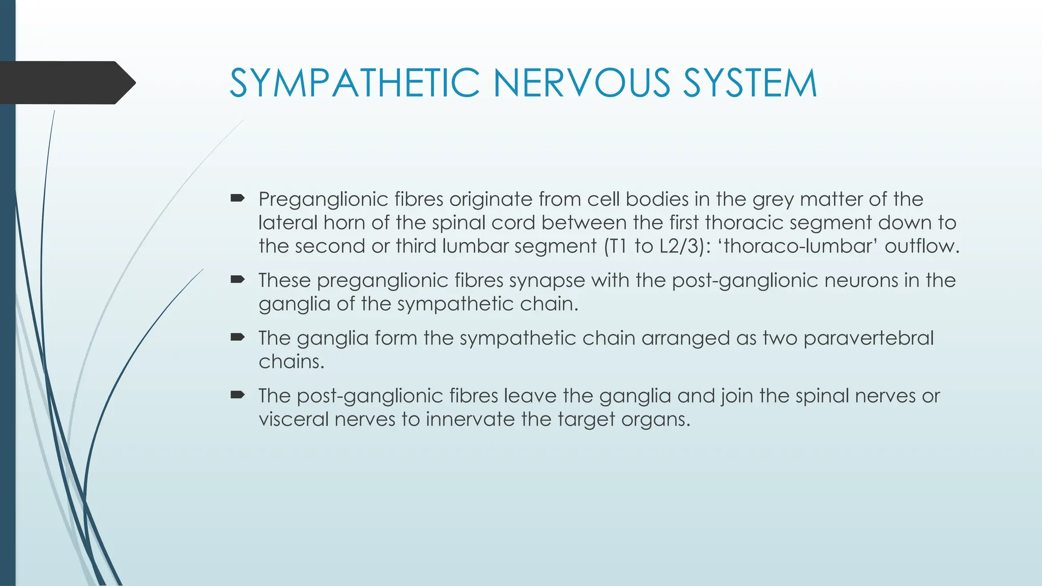 AUTONOMIC NERVOUS SYSTEM - ANATOMY.pptx
