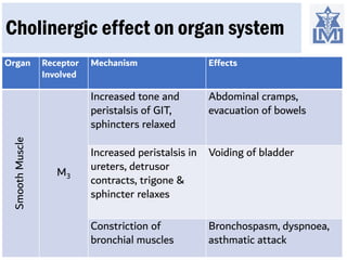 Autonomic Nervous System Introduction | PDF