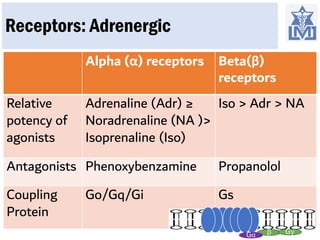 Autonomic Nervous System Introduction | PDF