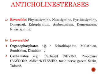 Autonomic nervous system introduction and cholinergic system | PPTX