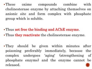 Autonomic nervous system introduction and cholinergic system | PPTX