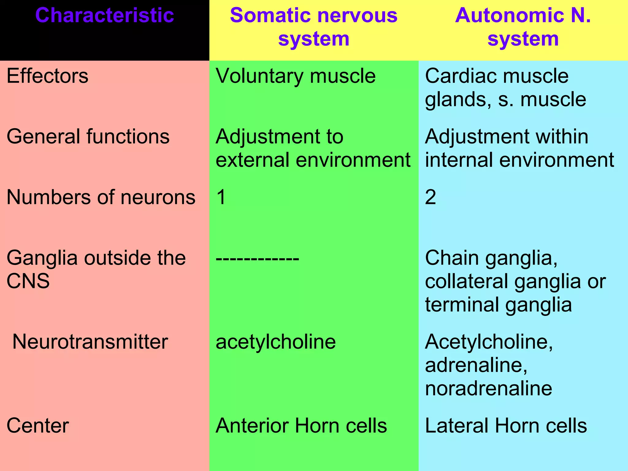Autonomic nervous system Physiology | PPT