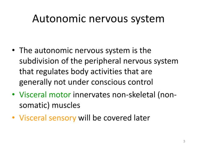 Autonomic Nervous System (1).ppt