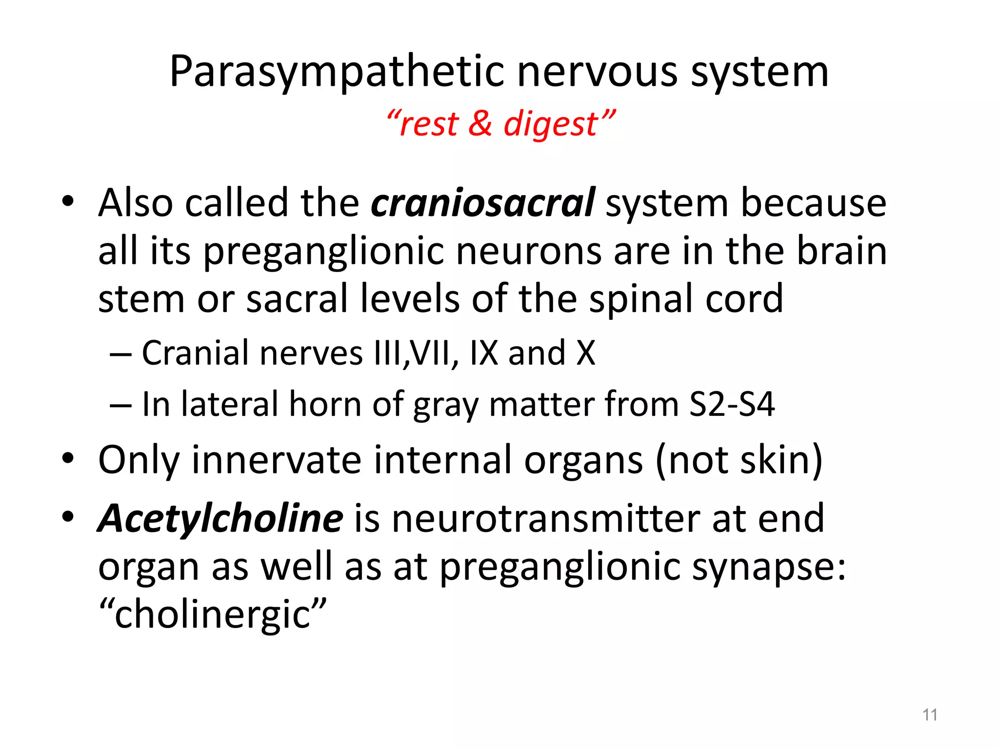 Autonomic Nervous System (1).ppt