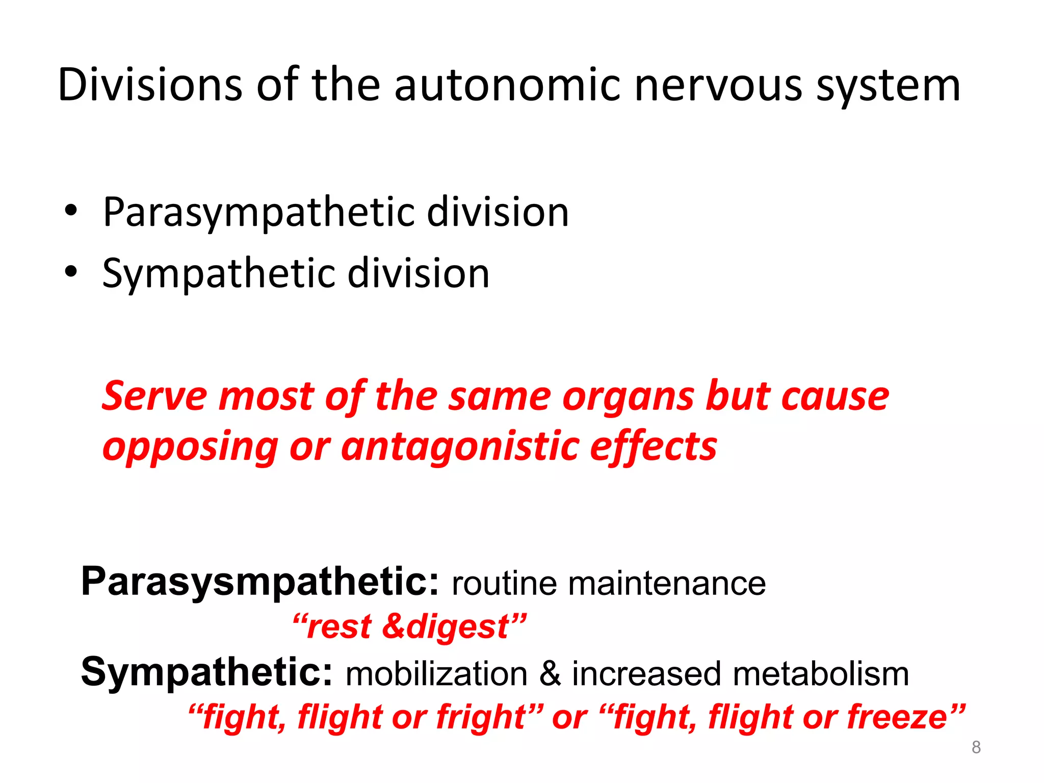 Autonomic Nervous System (1).ppt