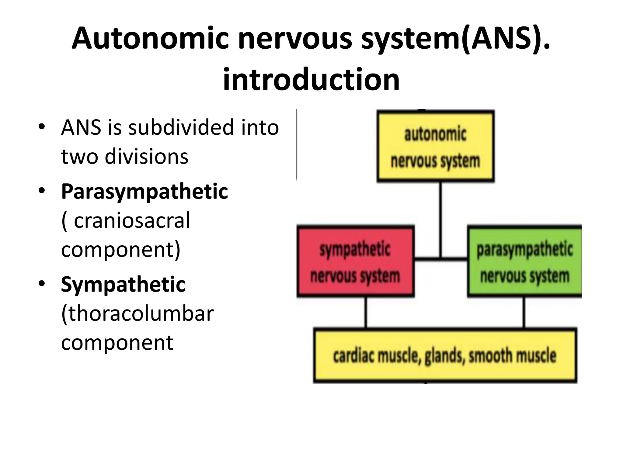 AUTONOMIC NERVOUS SYSTEM.pptx
