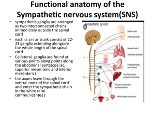 AUTONOMIC NERVOUS SYSTEM.pptx