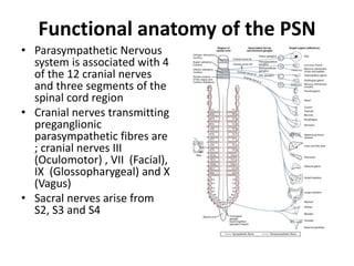 AUTONOMIC NERVOUS SYSTEM.pptx