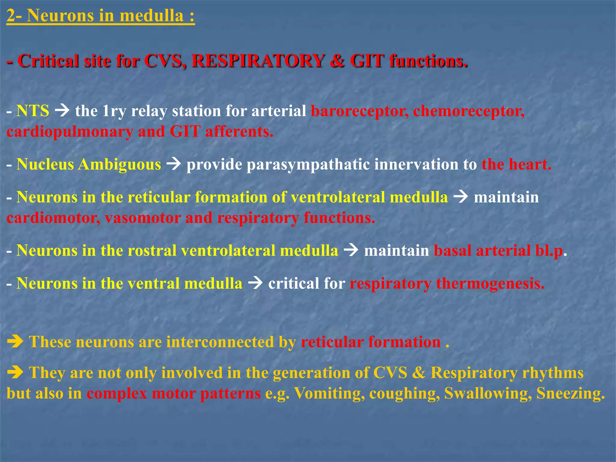 Autonomic nervous system anatomy and physiology.pptx