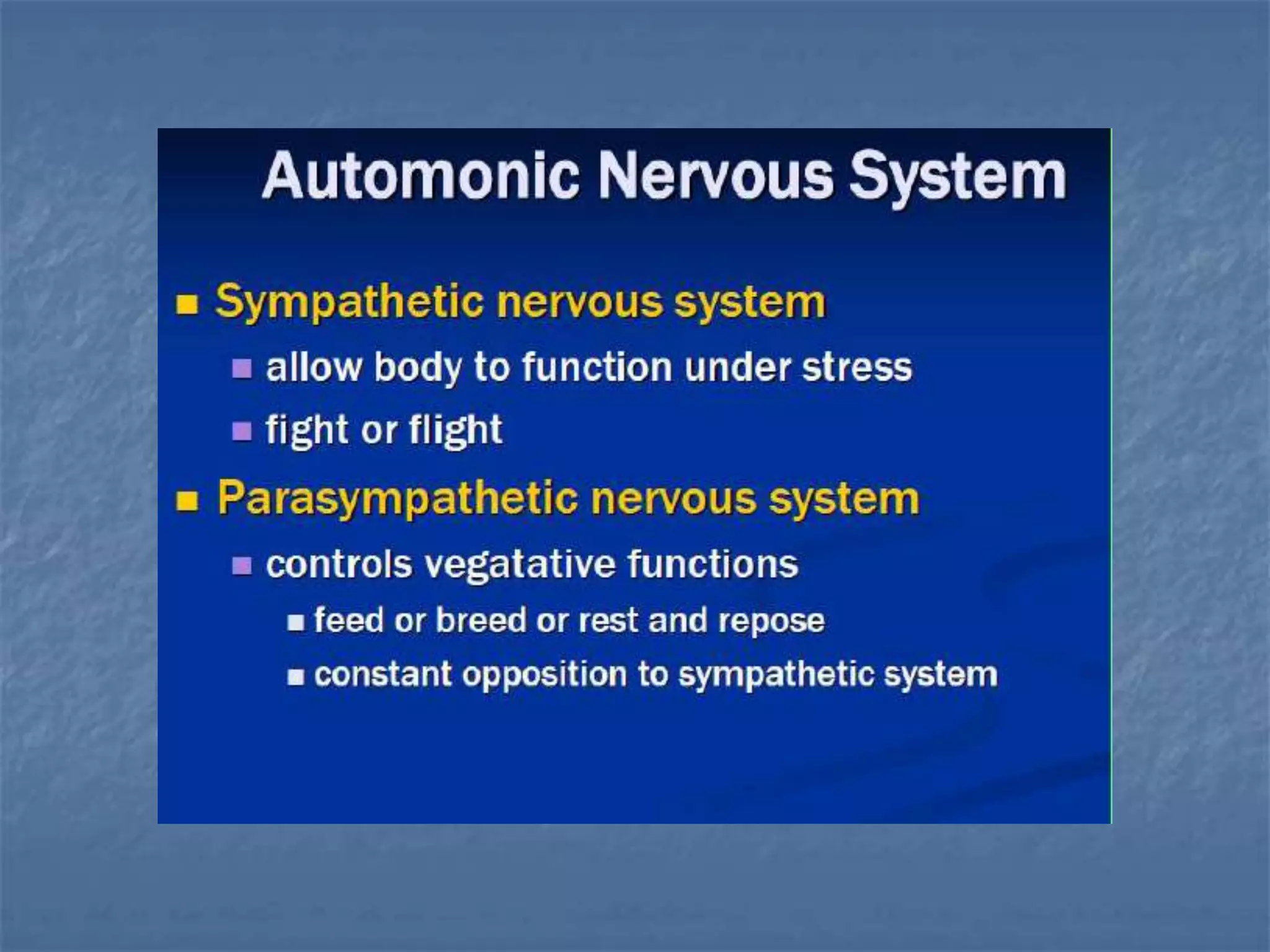 Autonomic nervous system anatomy and physiology.pptx
