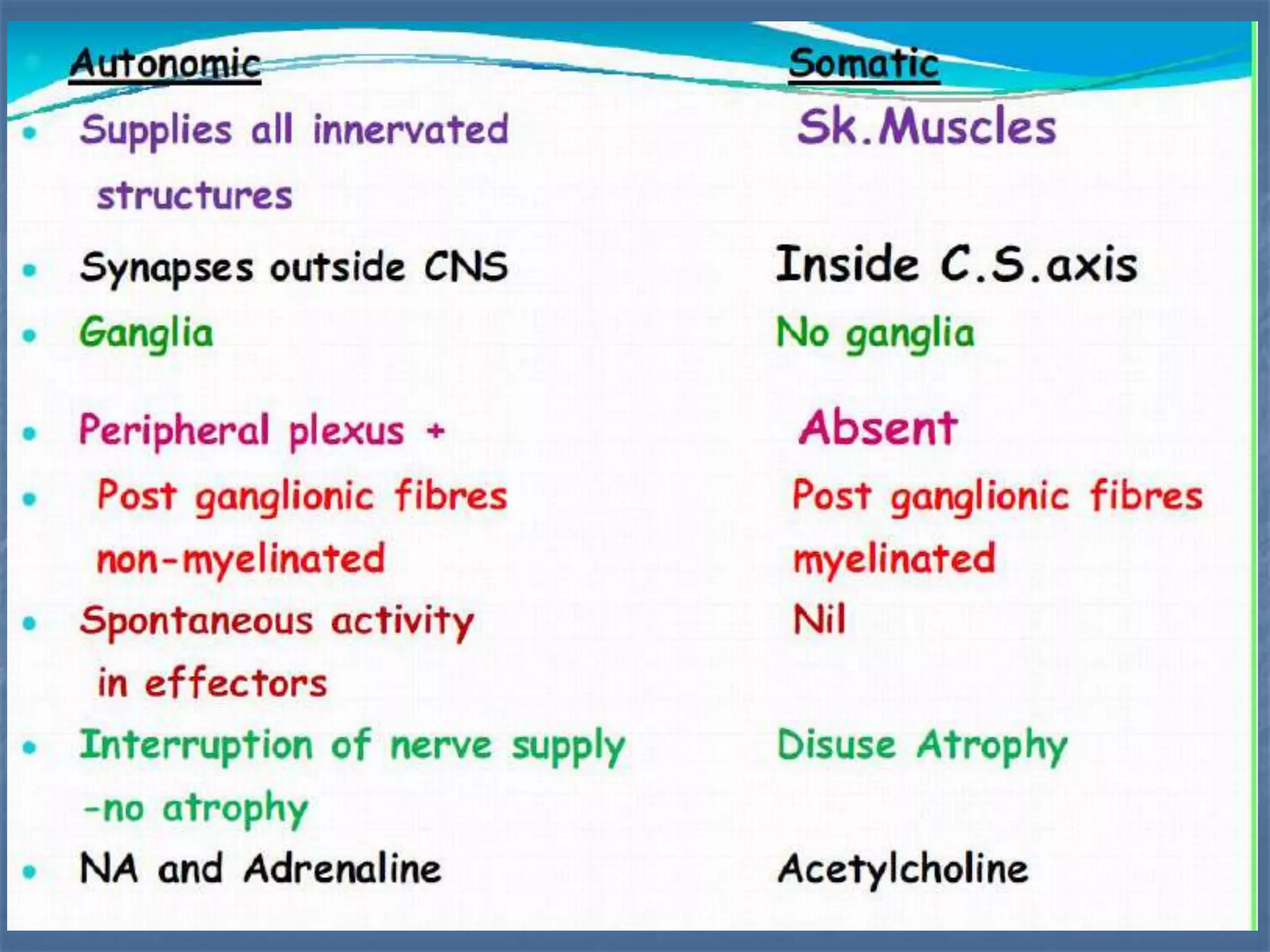 Autonomic nervous system anatomy and physiology.pptx