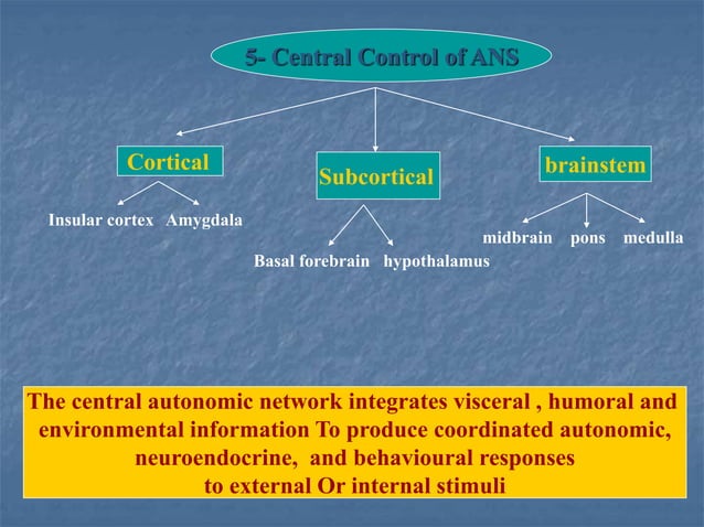 Autonomic nervous system anatomy and physiology.pptx