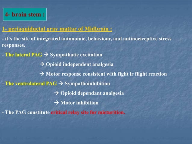 Autonomic nervous system anatomy and physiology.pptx