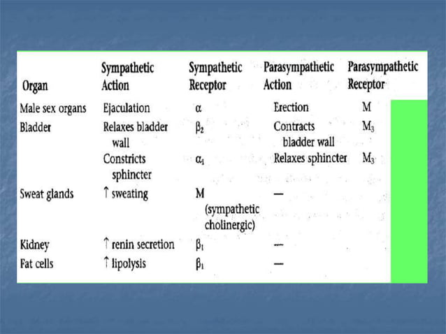 Autonomic nervous system anatomy and physiology.pptx