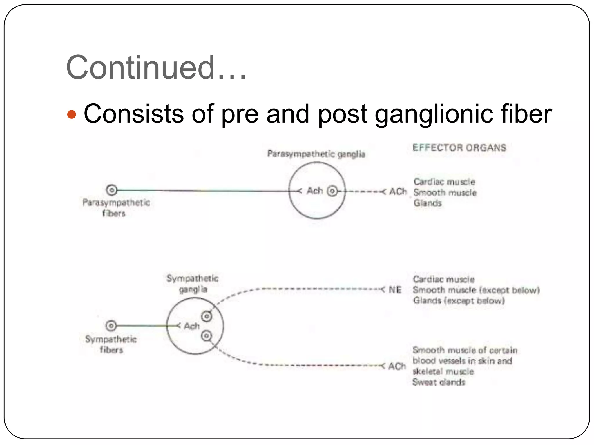 Autonomic nervous system (ans) | PPTX