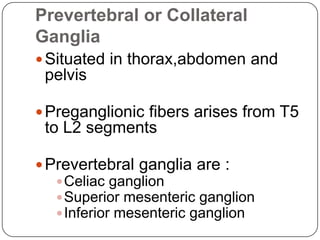 Autonomic nervous system (ans) | PPTX