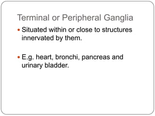 Autonomic nervous system (ans) | PPTX