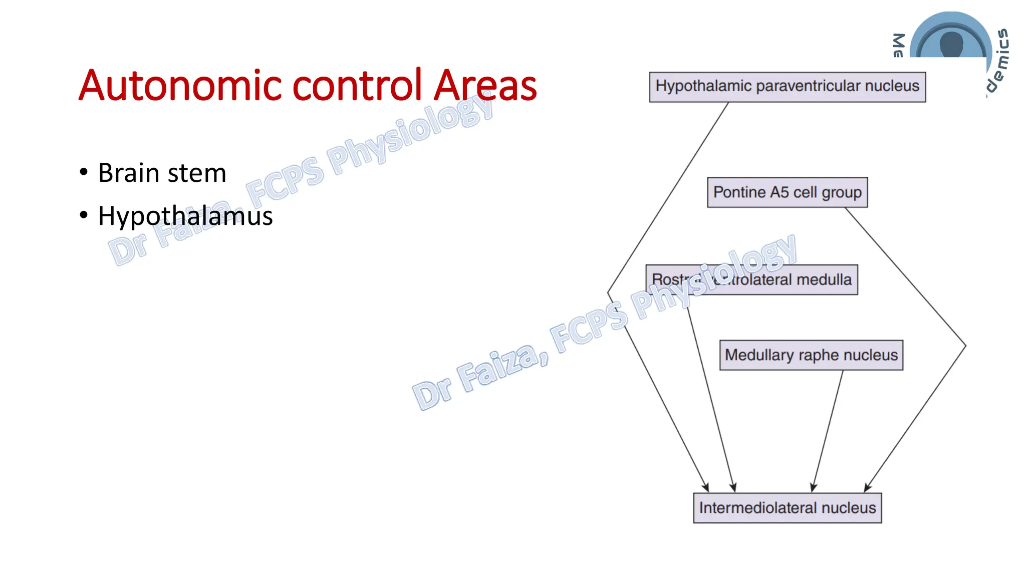 AUTONOMIC NERVOUS SYSTEM organization and functions | PDF