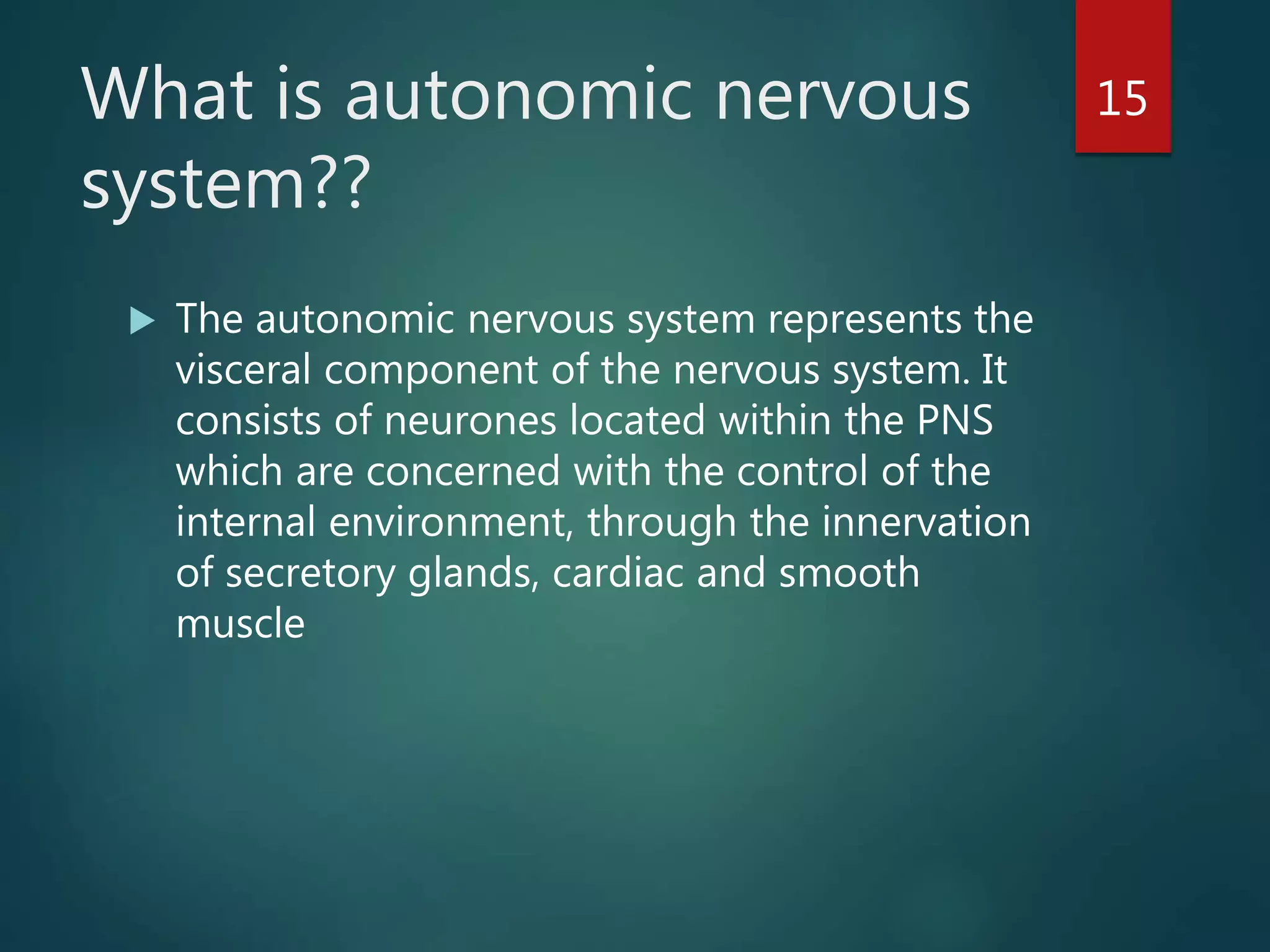 Autonomic nervous system—arrangement, function, pain,visceral ...