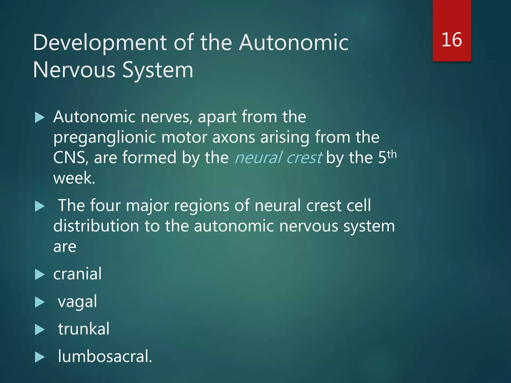 Autonomic nervous system—arrangement, function, pain,visceral ...