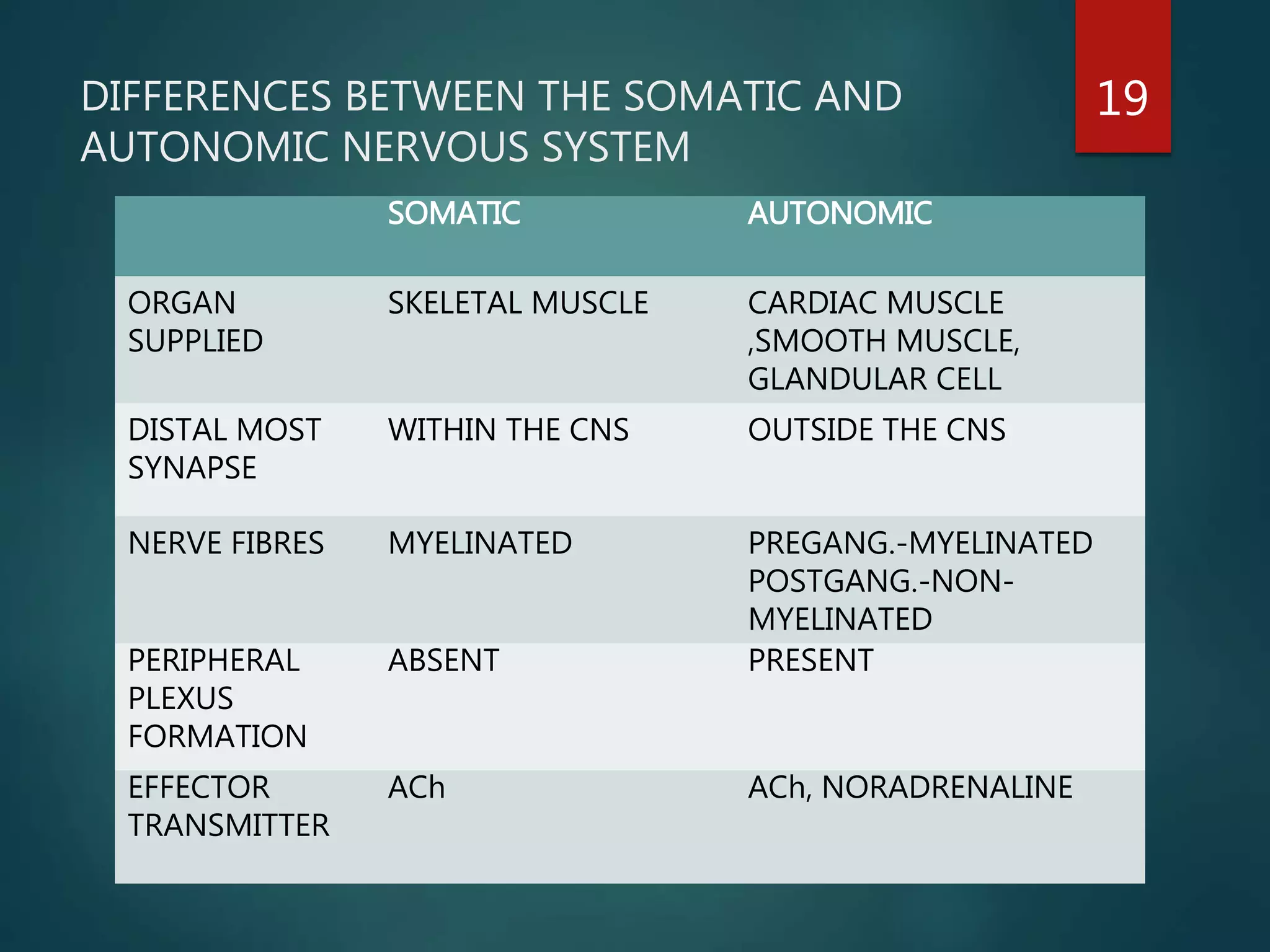 Autonomic nervous system—arrangement, function, pain,visceral ...