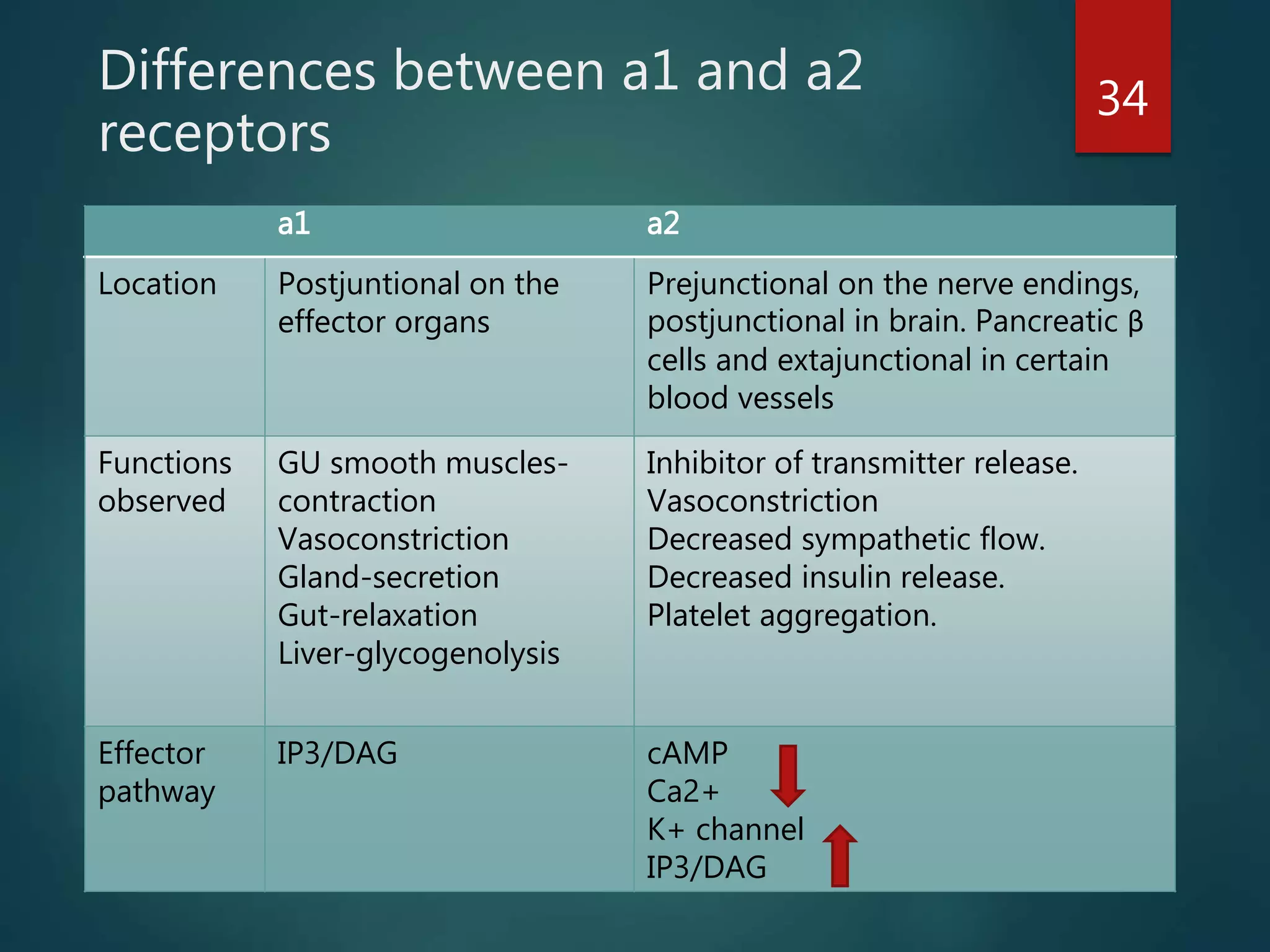 Autonomic nervous system—arrangement, function, pain,visceral ...
