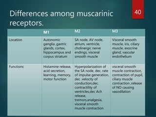 Autonomic nervous system—arrangement, function, pain,visceral ...