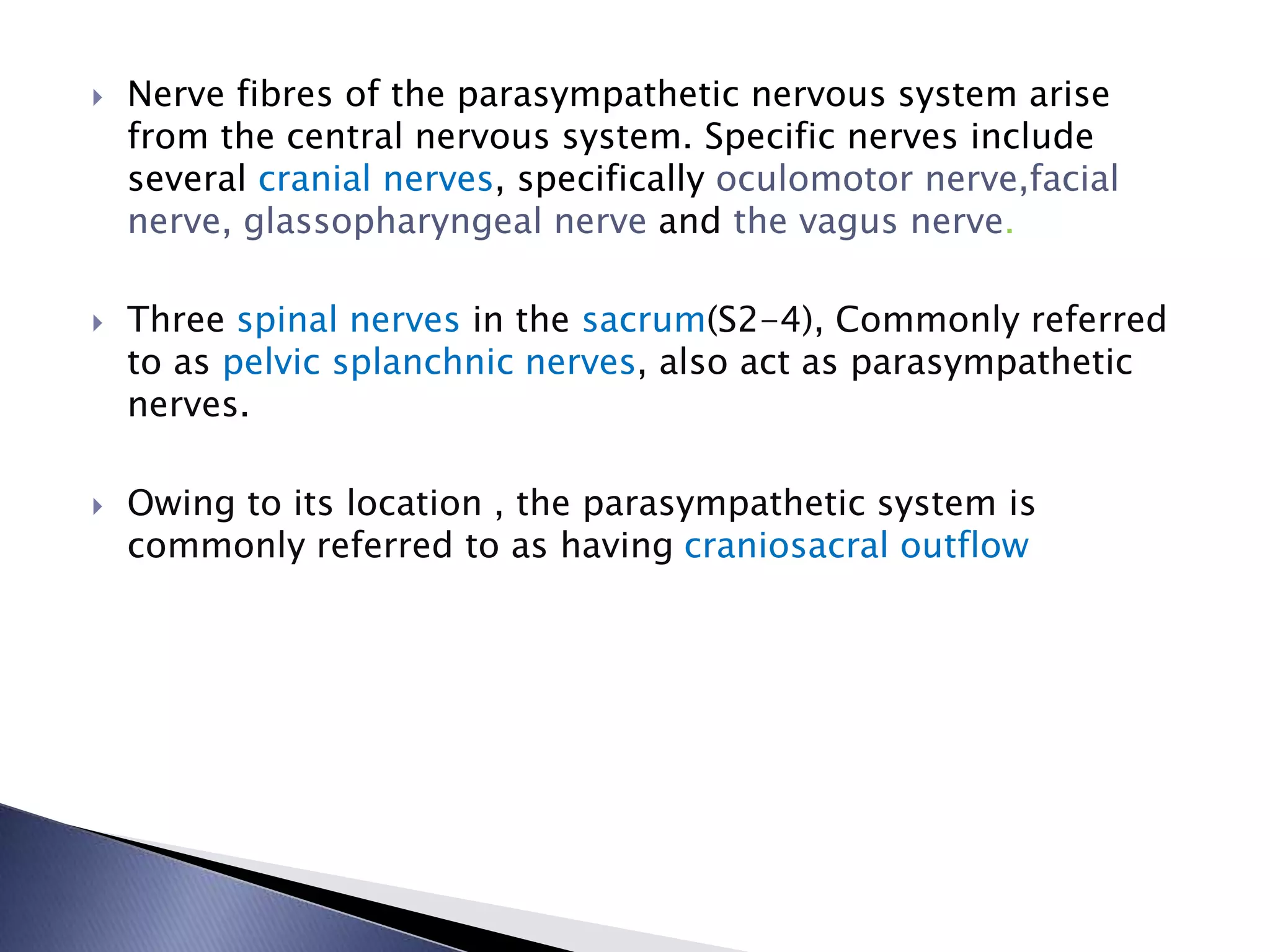 AUTONOMIC NERVOUS SYSTEM By NAJALA P.pptx