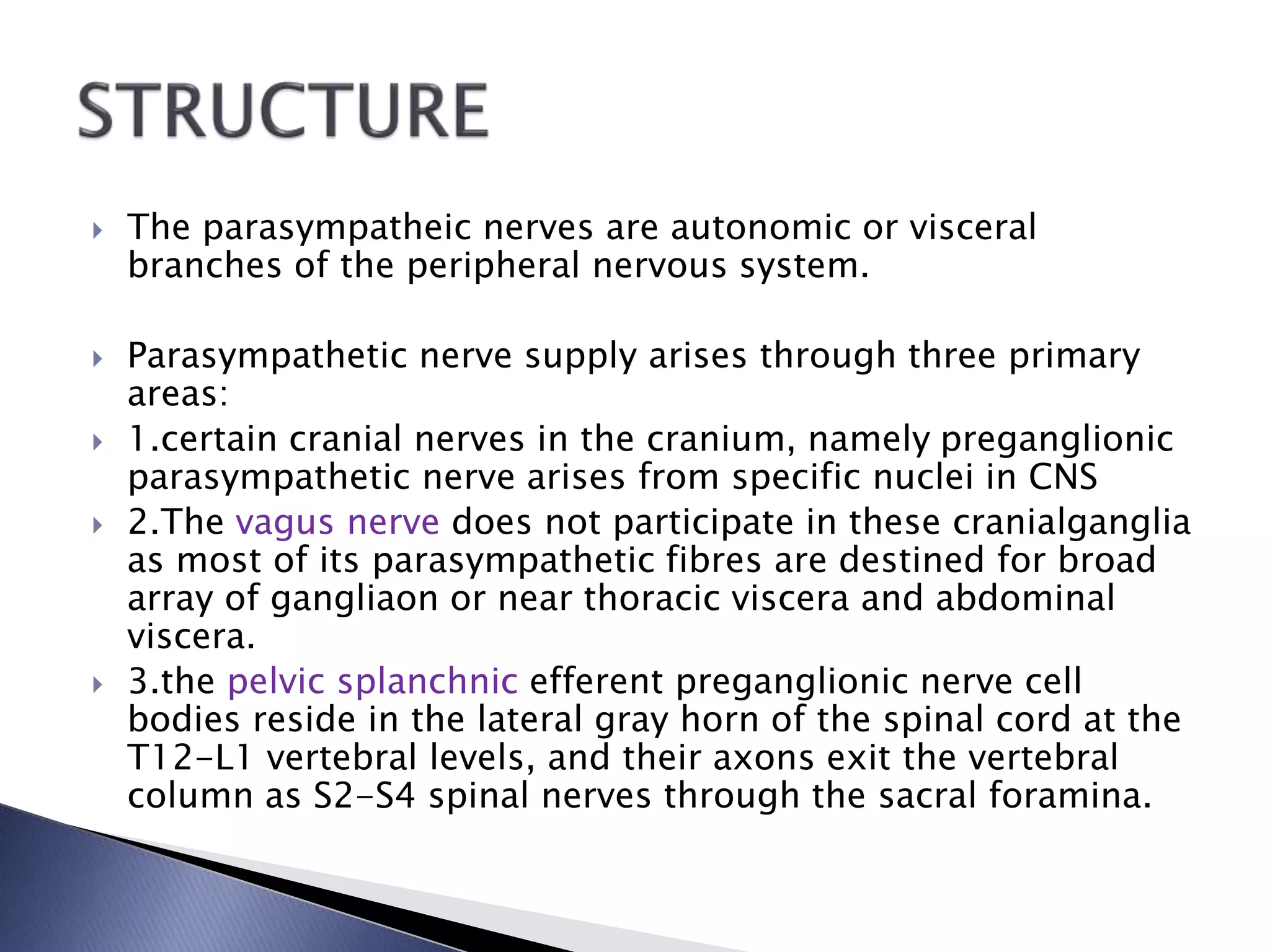 AUTONOMIC NERVOUS SYSTEM By NAJALA P.pptx