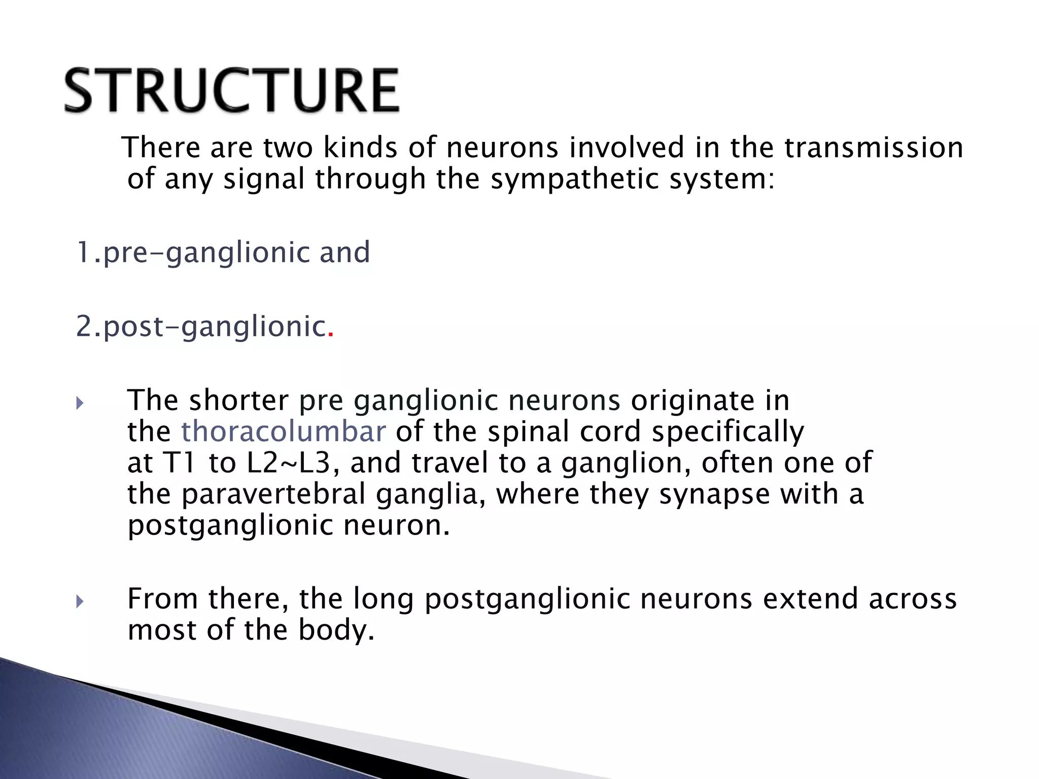 AUTONOMIC NERVOUS SYSTEM By NAJALA P.pptx
