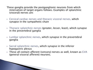 AUTONOMIC NERVOUS SYSTEM By NAJALA P.pptx