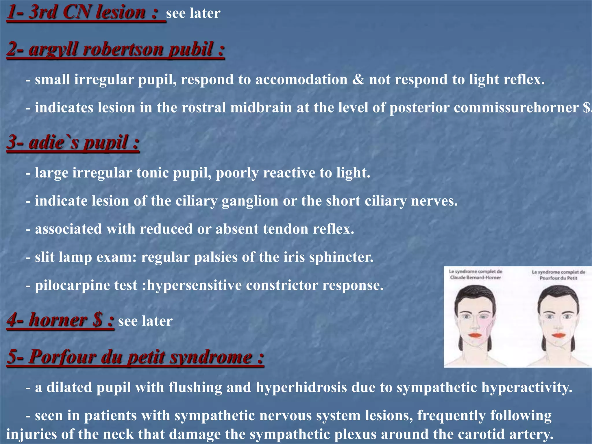 Autonomic Nervous System Dysautonomia Pptx