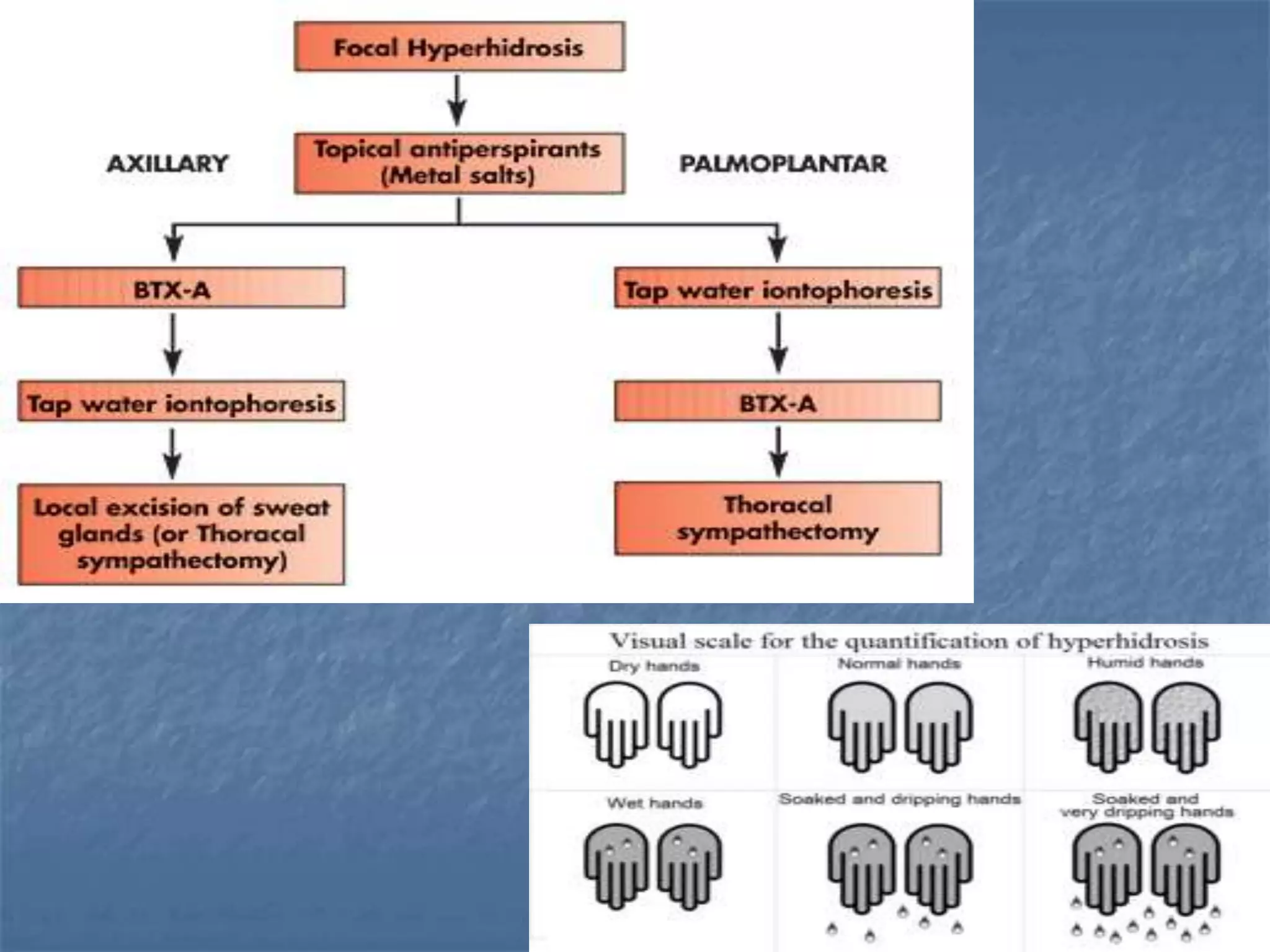 Autonomic nervous system dysautonomia.pptx
