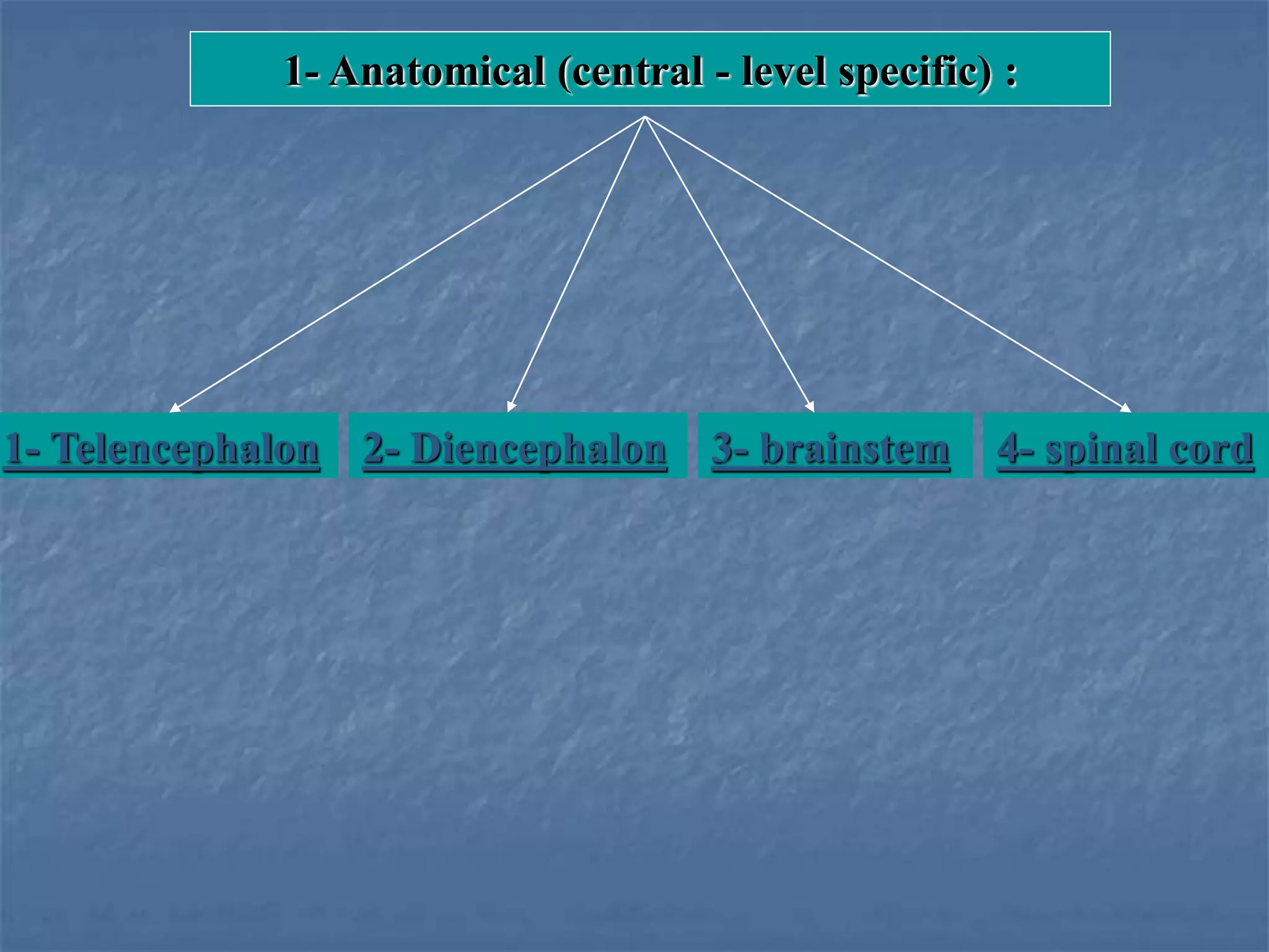 Autonomic Nervous System Dysautonomia Pptx