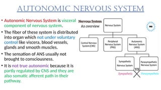 Autonomic Nervous system, Ganglia, Nerve fiber.pptx