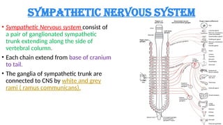 Autonomic Nervous system, Ganglia, Nerve fiber.pptx