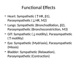 Autonomic_Nervous_System_MBBS student topper presentation | PPTX