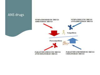 Autonomic nervous system pharmacology.pptx