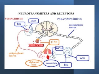 Autonomic nervous system pharmacology.pptx