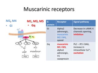 Autonomic nervous system pharmacology.pptx