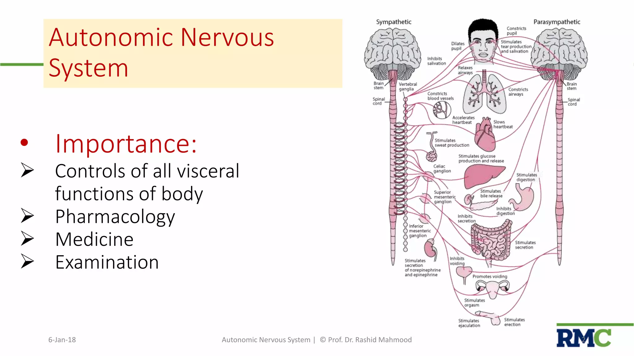Autonomic nervous system | PPTX